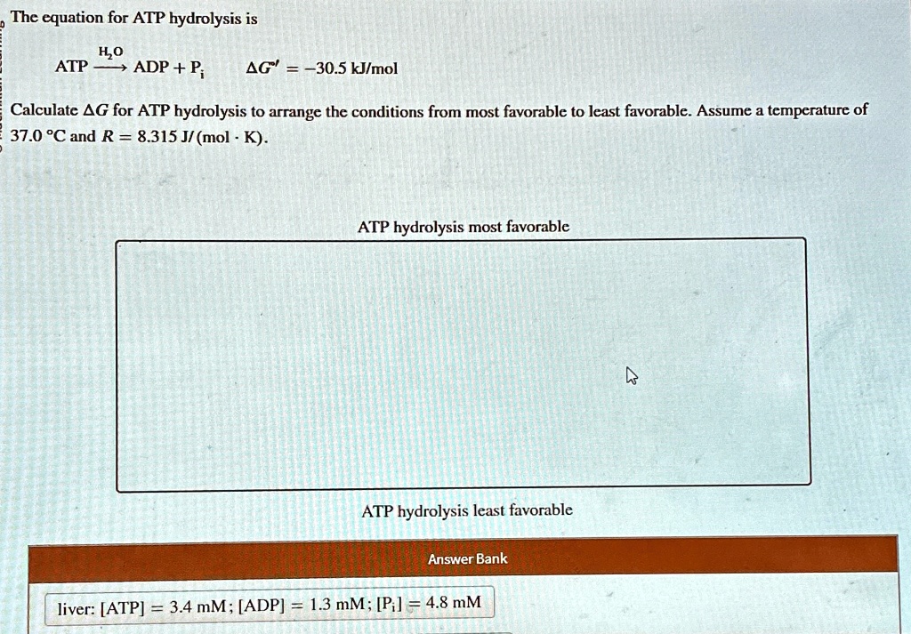 SOLVED: The equation for ATP hydrolysis is ATP -> H2O + ADP + Pi, ΔG ...