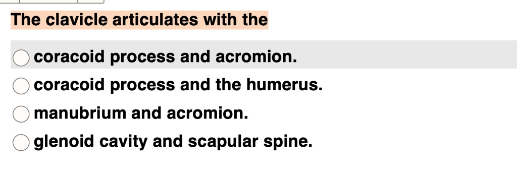 The clavicle articulates with the corocoid process and acromion ...