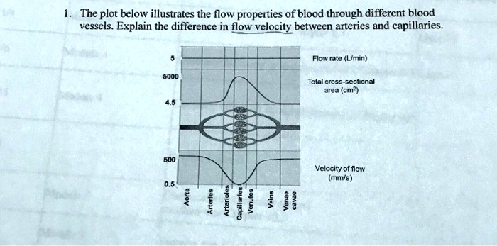 SOLVED: The plot below illustrates the flow properties of blood through ...