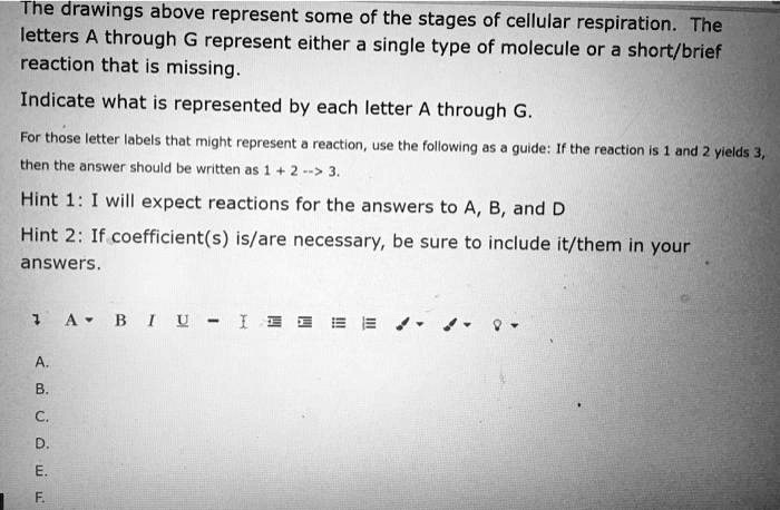 [GET ANSWER] the drawings above represent some of the stages of ...