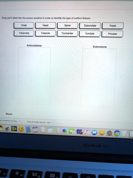 Drag each label into the proper position in order to...