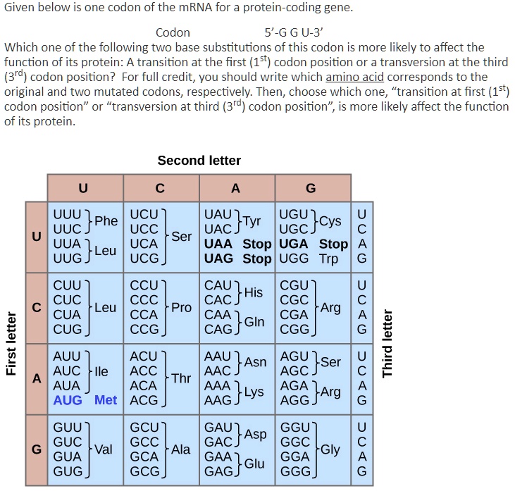 SOLVED: Given below is one codon of the mRNA for a protein-coding gene: Codon 5'-6 6 U-3' Which ...