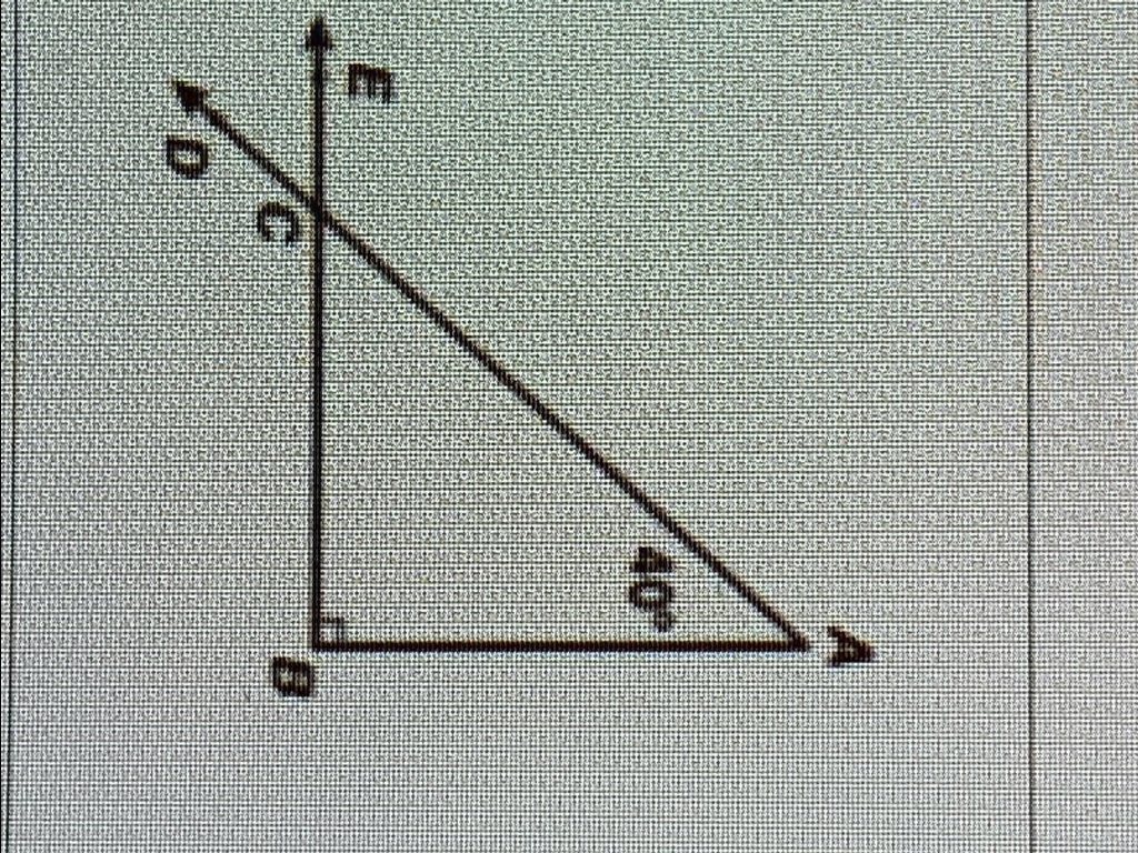 SOLVED: 'In the figure, triangle ABC is a right triangle and m of angle ...