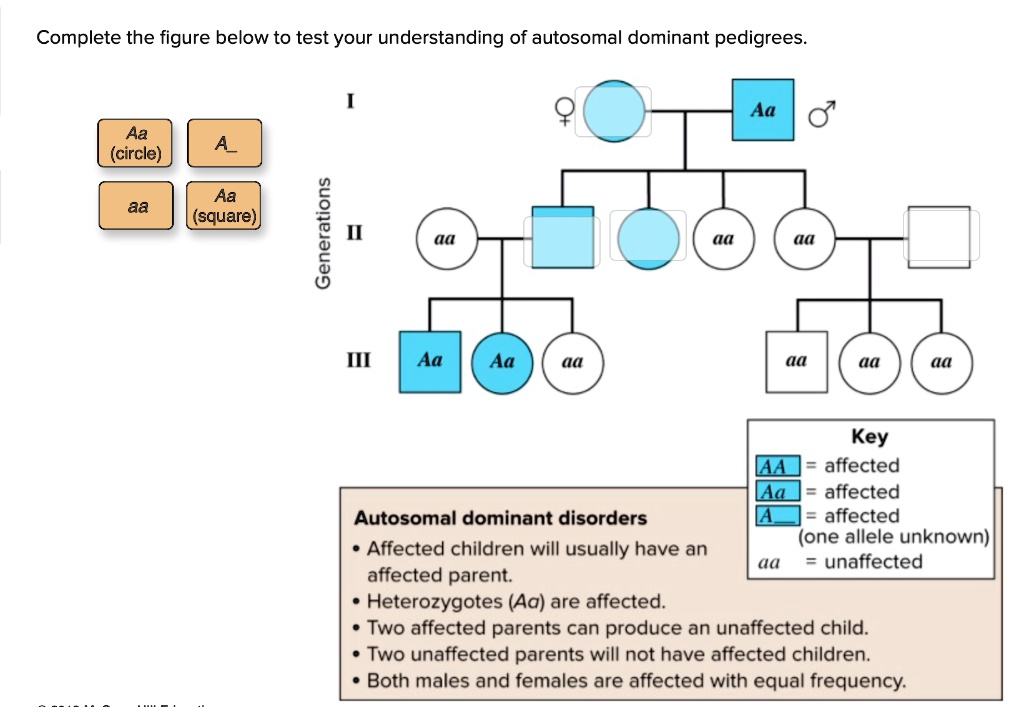 SOLVED: Complete the figure below to test your understanding of ...