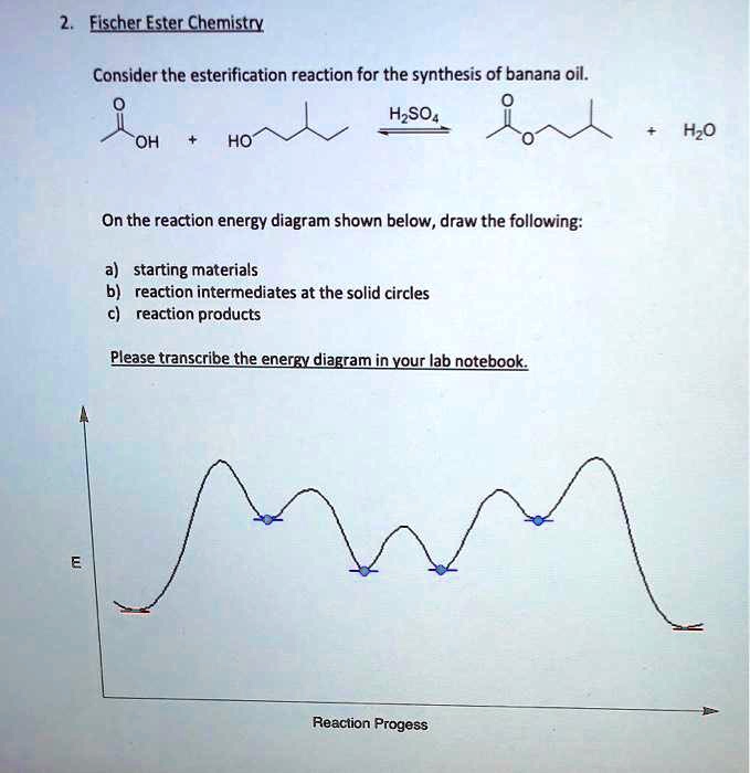 SOLVED: Text: Fischer Ester Chemistry Consider the esterification reaction for the synthesis of ...