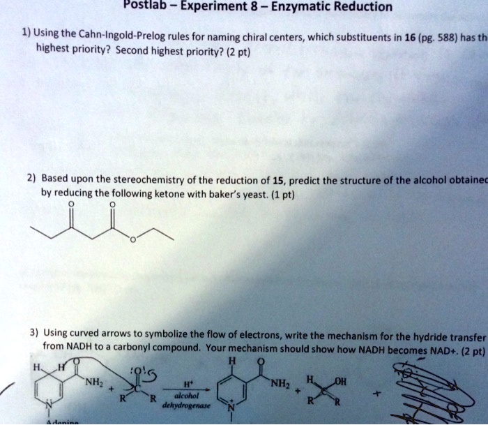 SOLVED: Postlab - Experiment 8 - Enzymatic Reduction 1) Using the Cahn ...