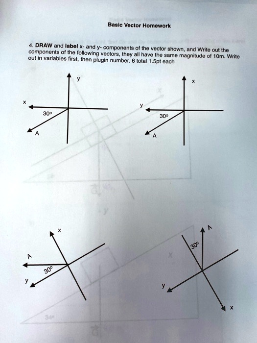 Solved Basic Vector Homework Draw And Label And Y Components The 8634