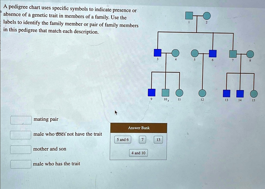 SOLVED: A pedigree chart uses specific symbols to indicate presence or ...