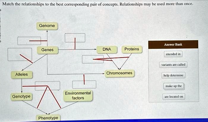 Texts Match The Relationships To The Best Corresponding Pair Of Concepts Relationships May Be 