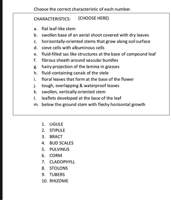 SOLVED: Choose the correct characteristic of each number ...