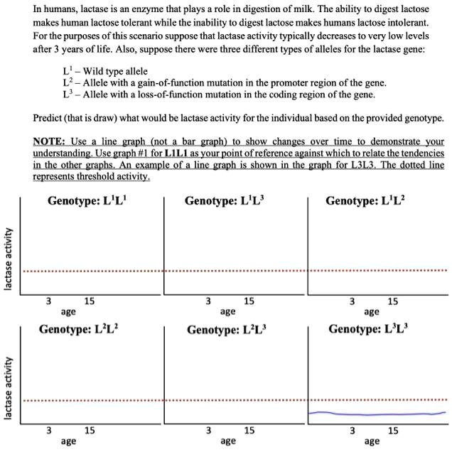 SOLVED: In humans, lactase is an enzyme that plays a role in the ...