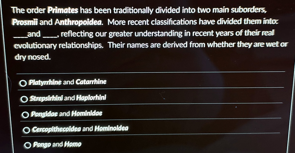 the order primates has been traditionally divided into two main ...