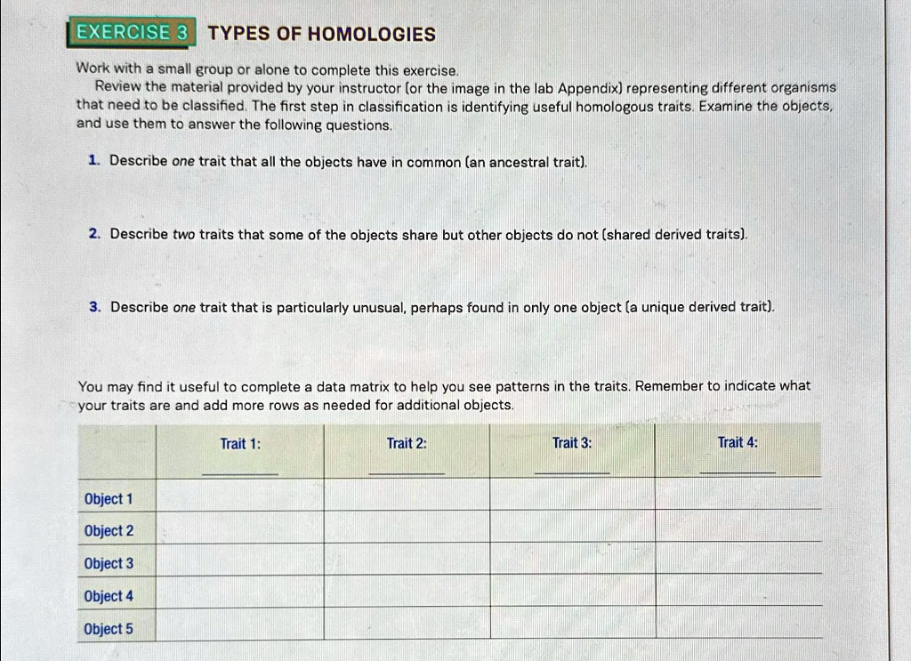 EXERCISE 3 TYPES OF HOMOLOGIES Work with a small group or alone to ...