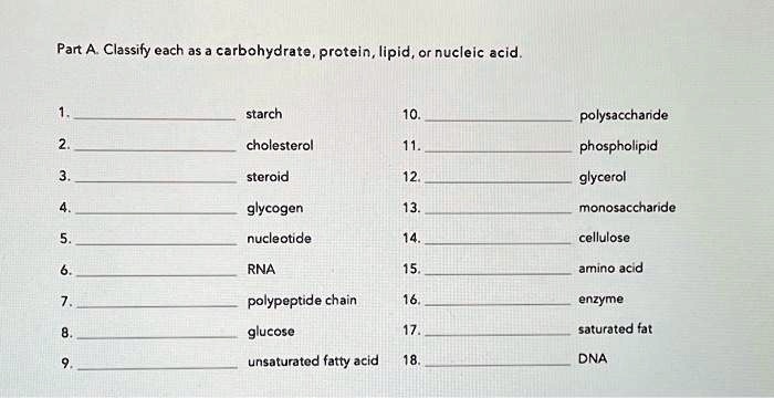 SOLVED: Part A. Classify each as a carbohydrate, protein, lipid, or ...