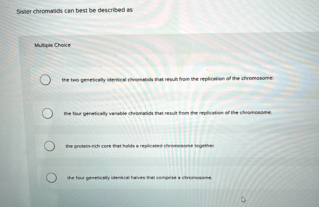 Sister chromatids can best be described as Multiple Choice the two genetically identical ...