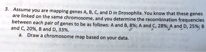 SOLVED: Assume you are mapping genes A, B, C, and D in Drosophila You ...