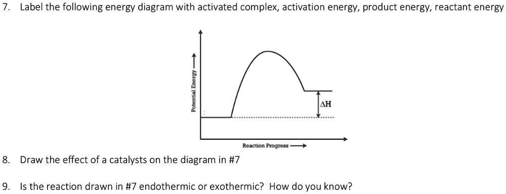 SOLVED: Label the following energy diagram with activated complex ...