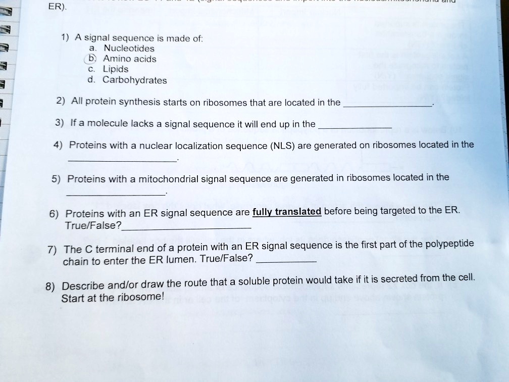 SOLVED: ER) A signal sequence is made of: Nucleotides Amino acids ...