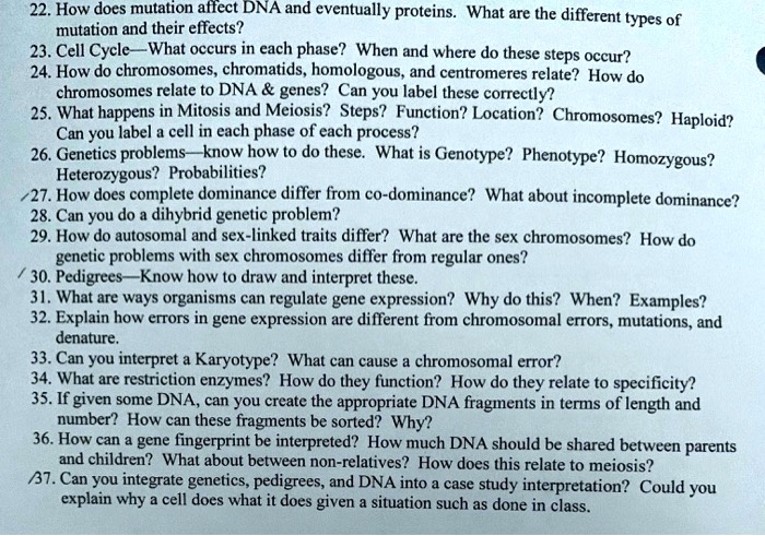 SOLVED: 22. How does mutation affect DNA and eventually proteins. What ...