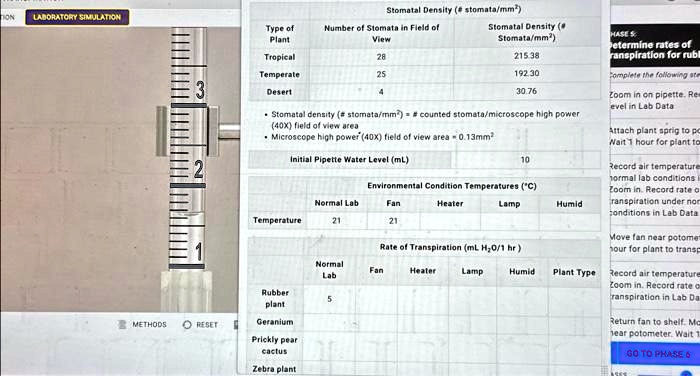 ION LABORATORY SIMULATION Type of Plant Tropical Temperate Desert 3 ...