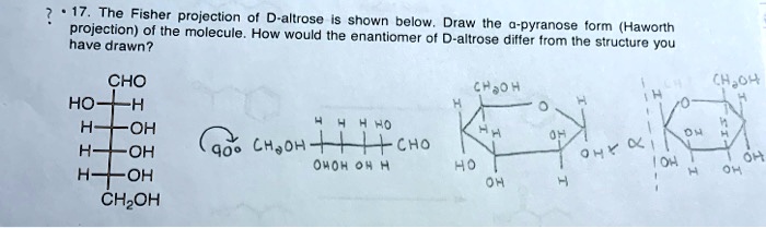SOLVED: The Fisher projection of D-altrose shown below. Draw the projection of the molecule in ...