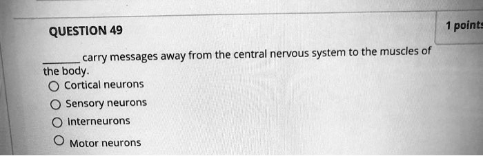 SOLVED: QUESTION 49 1point carry messages away from the central nervous system to the muscles of ...