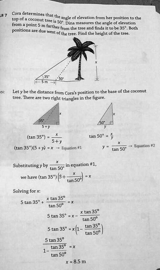 SOLVED: Cora determines that the angle of elevation from her position ...