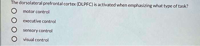 SOLVED: The dorsolateral prefrontal cortex (DLPFC) is activated when ...