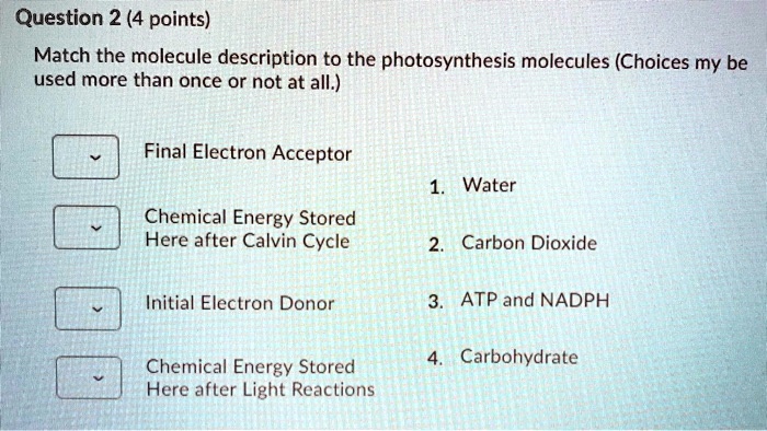 SOLVED: Question 2 (4 points) Match the molecule description to the ... SOLVED: Question 2 (4 points) Match the molecule description to the ...