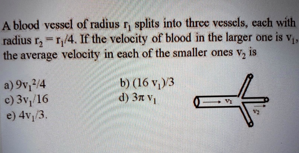 a blood vessel of radius f splits into thrce vessels each with radius rz t4 if the velocity of ...