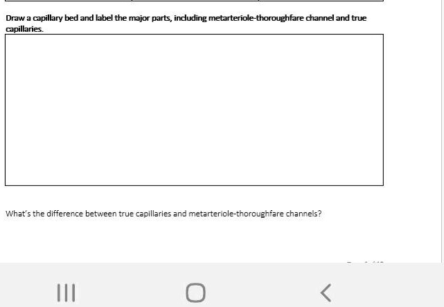 Draw a capillary bed and label the major parts, including metarteriole ...