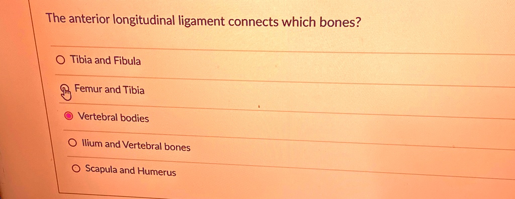 The anterior longitudinal ligament connects which bones? Tibia and ...