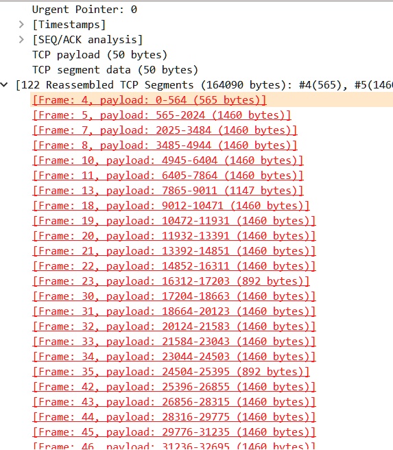 SOLVED: Observe and explain the relationship between frame number and payloads. Urgent Pointer ...