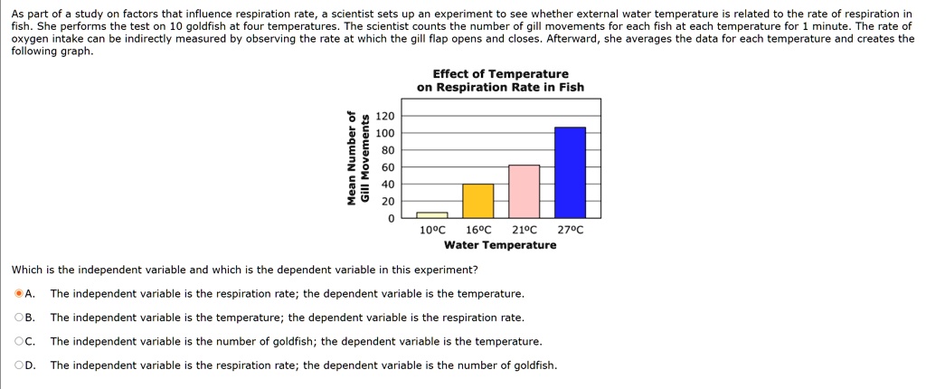 as part of study on factors that influence respiration rate scientist ...