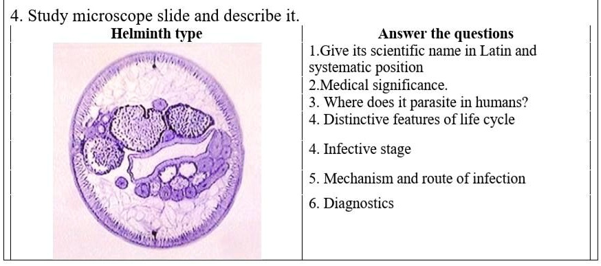 SOLVED: Study the microscope slide and describe it. Helminth type ...