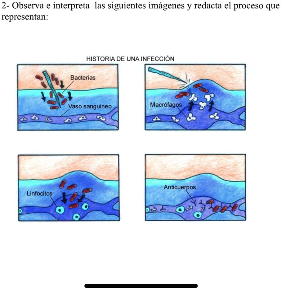 SOLVED: Observa e interpreta las siguientes imágenes y redacta el ... SOLVED: Observa e interpreta las siguientes imágenes y redacta el ...