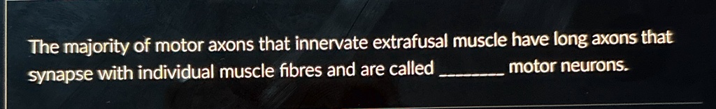 the majority of motor axons that innervate extrafusal muscle have long ...