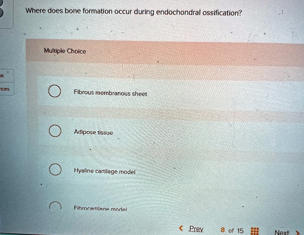 where does bone formation occur during endochondral ossification ...