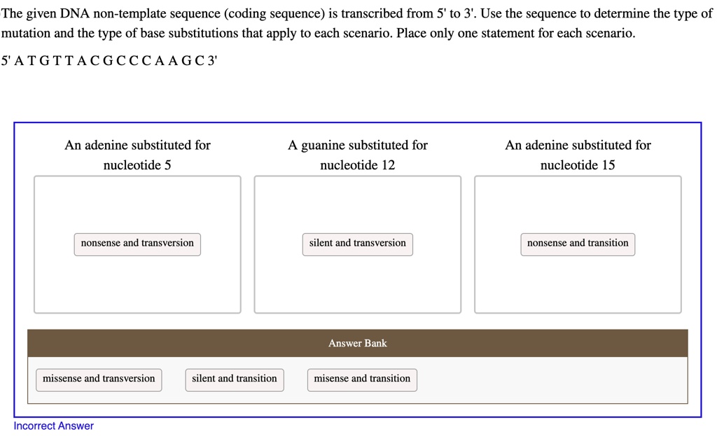 The given DNA non-template sequence (coding sequence) is transcribed from 5' to 3'. Use the ...