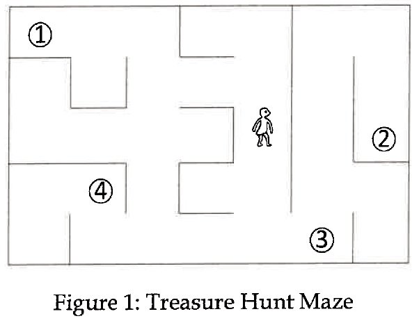 Figure 1: Treasure Hunt Maze