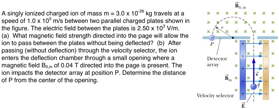 SOLVED: A singly ionized charged ion of mass m = 3.0 x 10^-26 kg ...