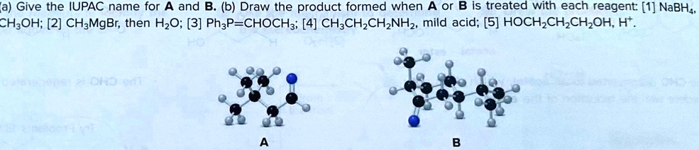 A) Give the IUPAC name for A and B. (b) Draw the prod… - SolvedLib