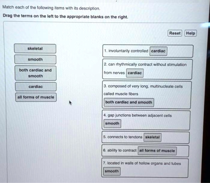 Match each of the following items with its description. Drag the terms on the left to the ...