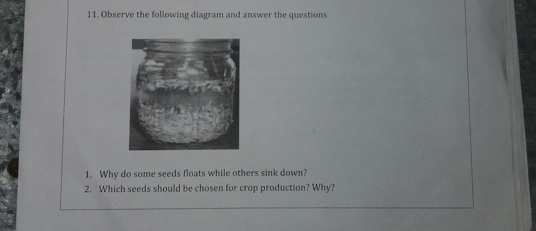 11. Observe the following diagram and answer the questions 1. Why do ...