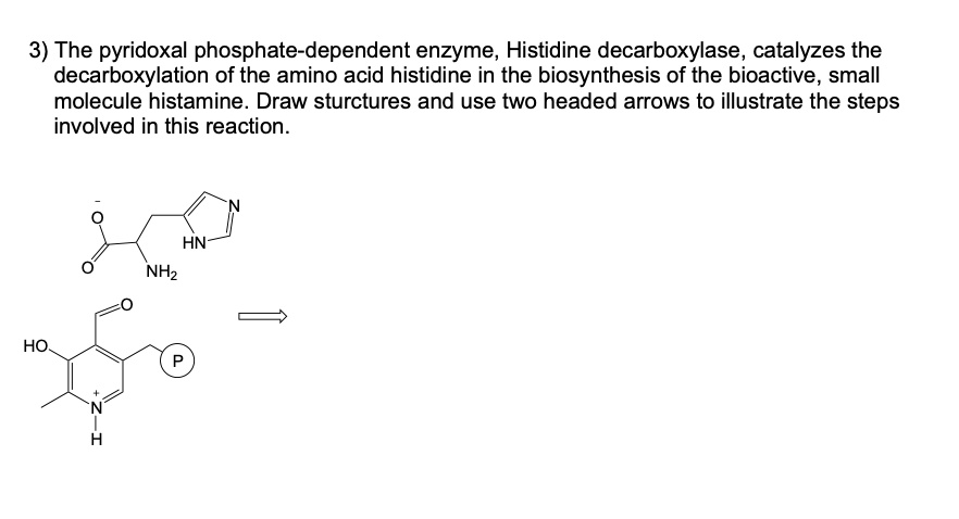 SOLVED: The pyridoxal phosphate-dependent enzyme, Histidine ...