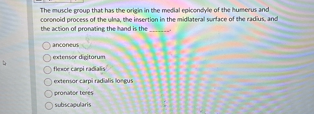 [GET ANSWER] the muscle group that has the origin in the medial ...