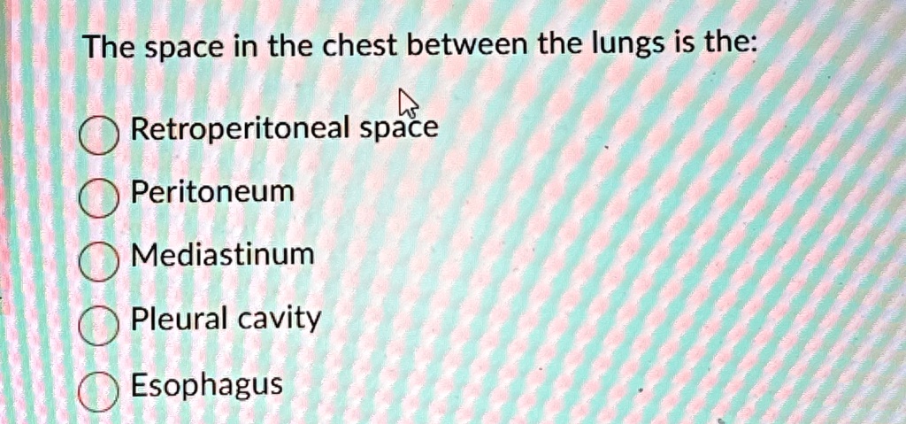 The space in the chest between the lungs is the: Retroperitoneal space ...