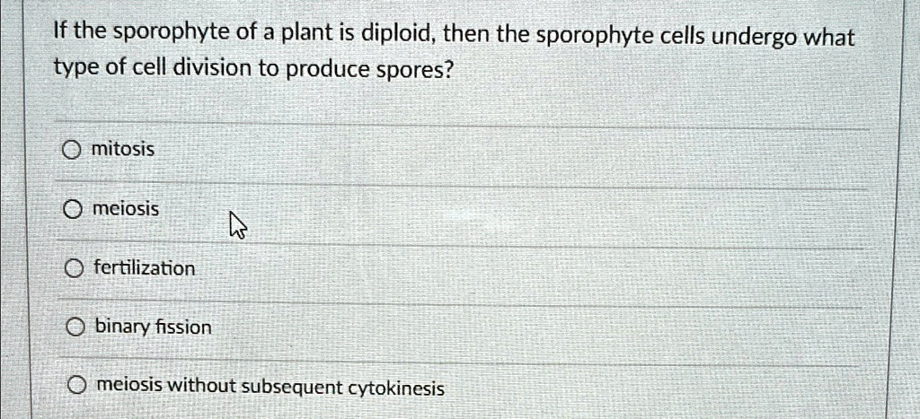 if the sporophyte of a plant is diploid then the sporophyte cells ...