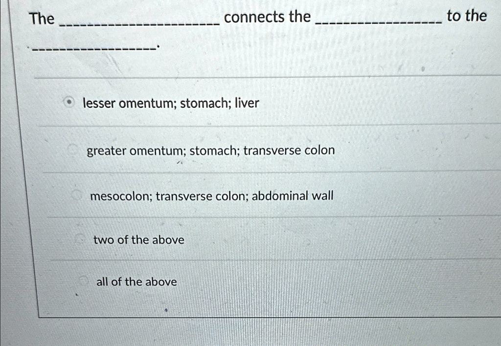 The connects the to the . lesser omentum; stomach; liver greater ...