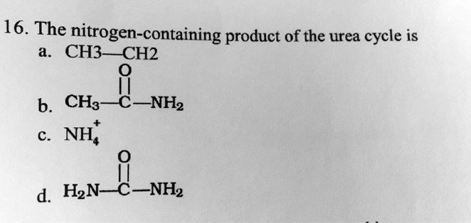 The nitrogen-containing product of the urea cycle is: a. CH3 CH2 NH2 b. CH3 CH2 NH3 c. NH2 d ...